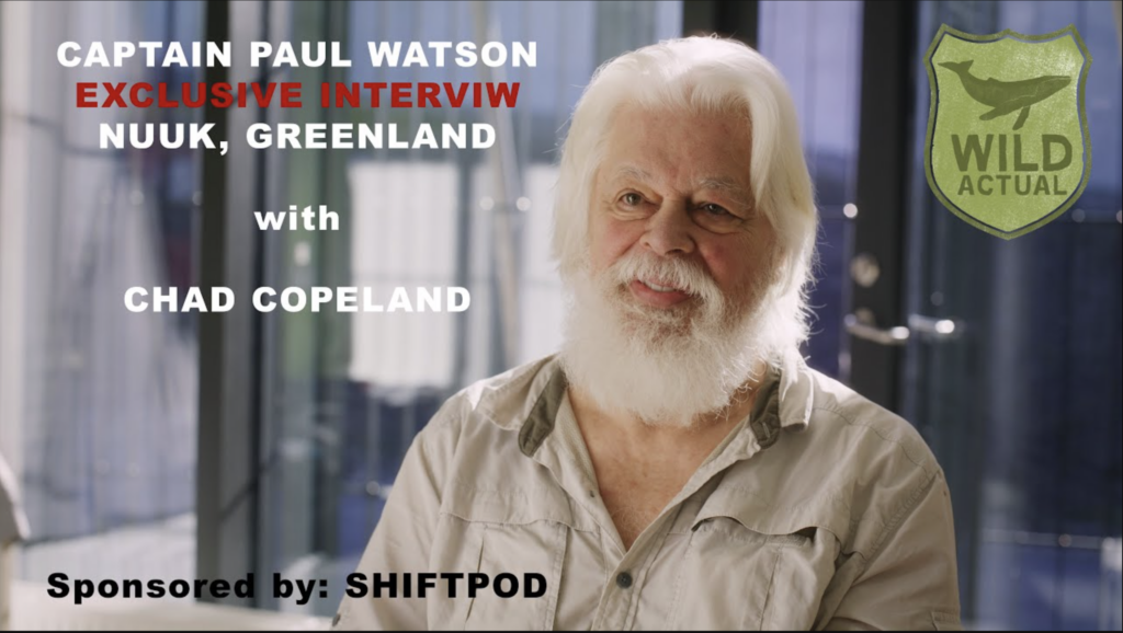 PAUL WATSON: EXCLUSIVE INTERVIEW WILD ACTUAL, CHAD COPELAND — Captain ...