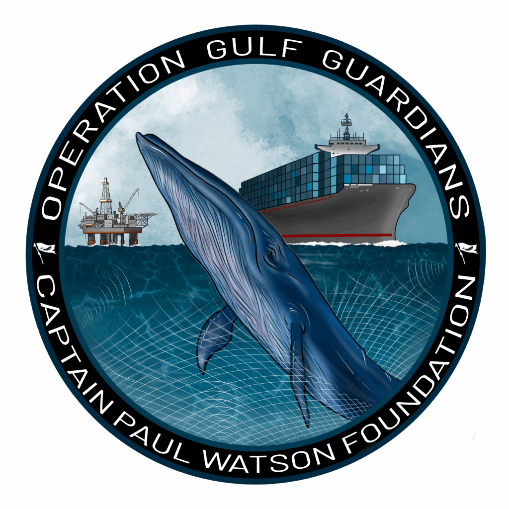 Campaigns & Projects — Captain Paul Watson Foundation