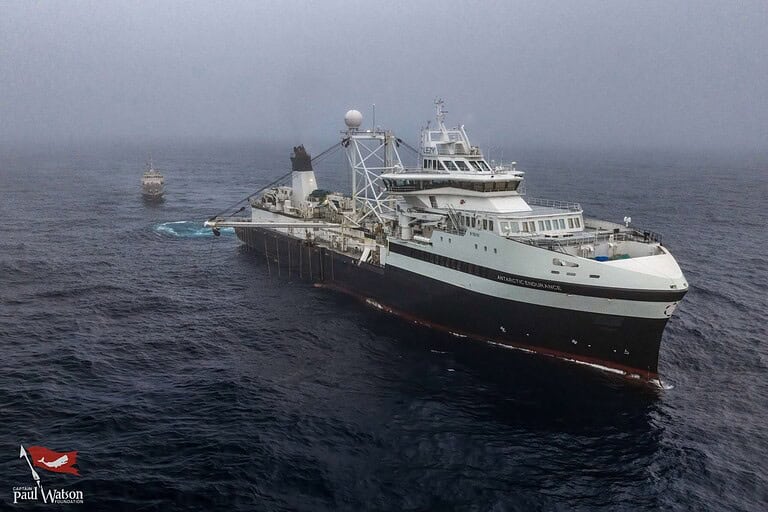 Captain Paul Watson Foundation Blocked from Falklands Port After ...